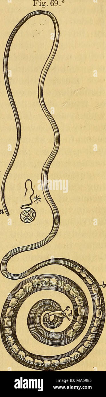 . Elements of pathological anatomy Stock Photo - Alamy