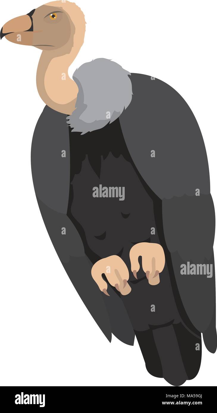 vulture wild bird animal design Stock Vector Image & Art - Alamy