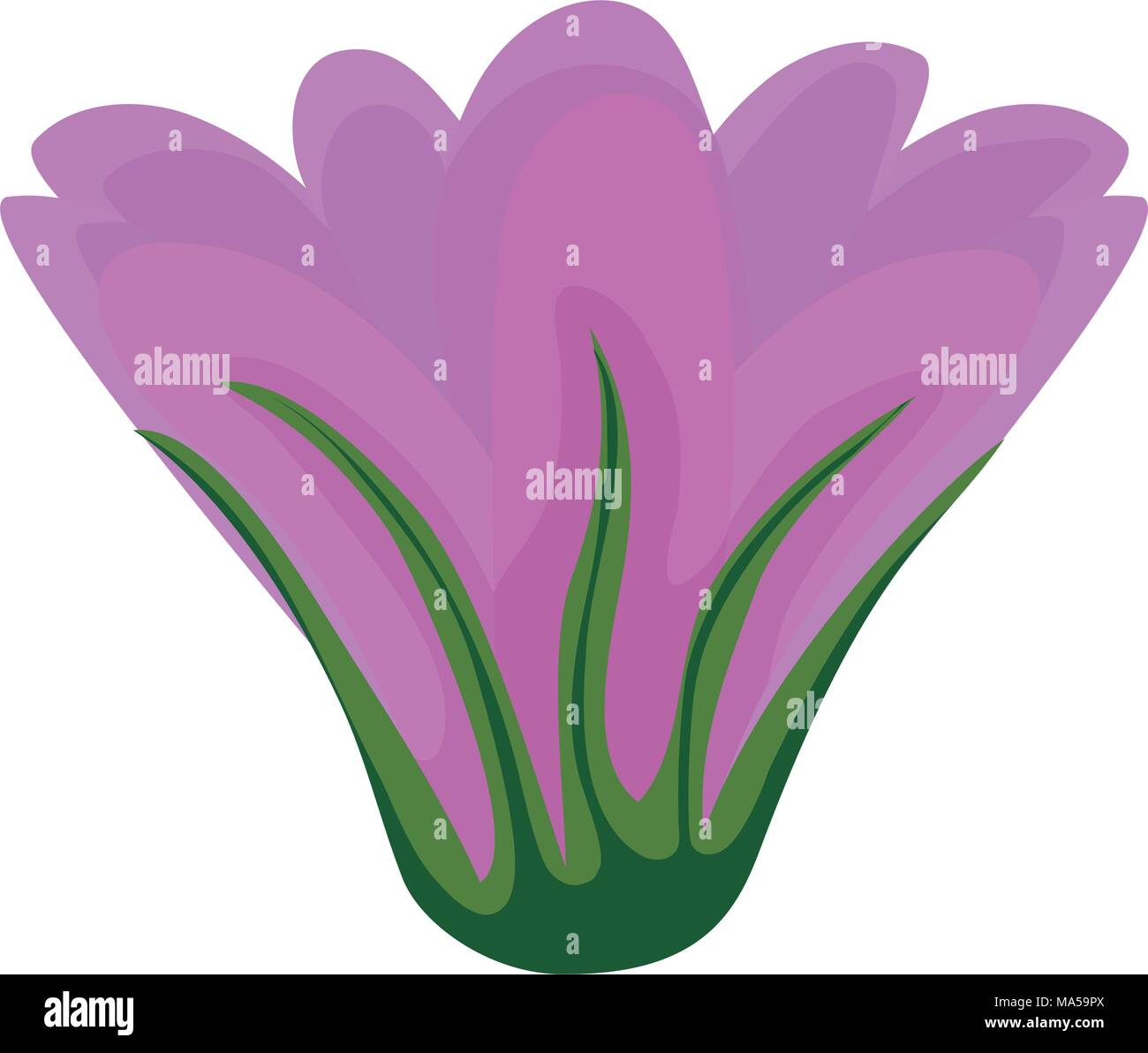 cute flowers with nature petals design Stock Vector Image & Art - Alamy