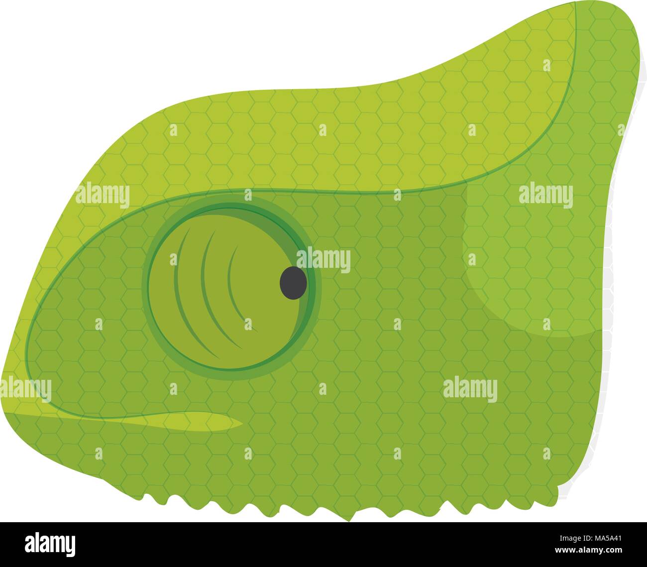 Chameleon lizard face Stock Vector Images - Alamy