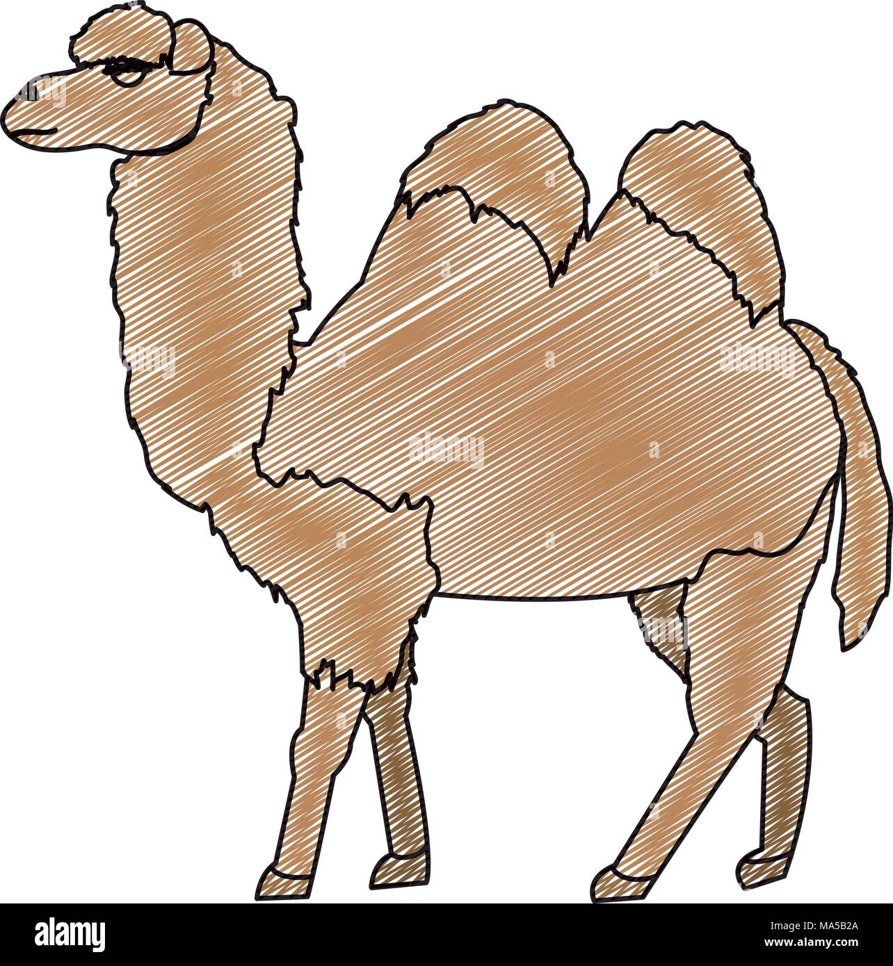doodle cute nature camel desert animal Stock Vector Image & Art - Alamy