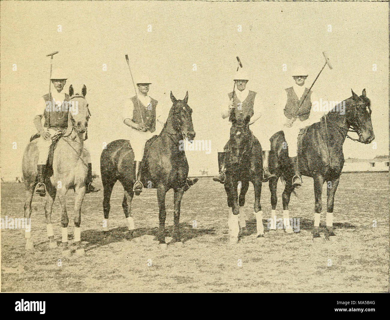 . Elements of hippology Stock Photo - Alamy