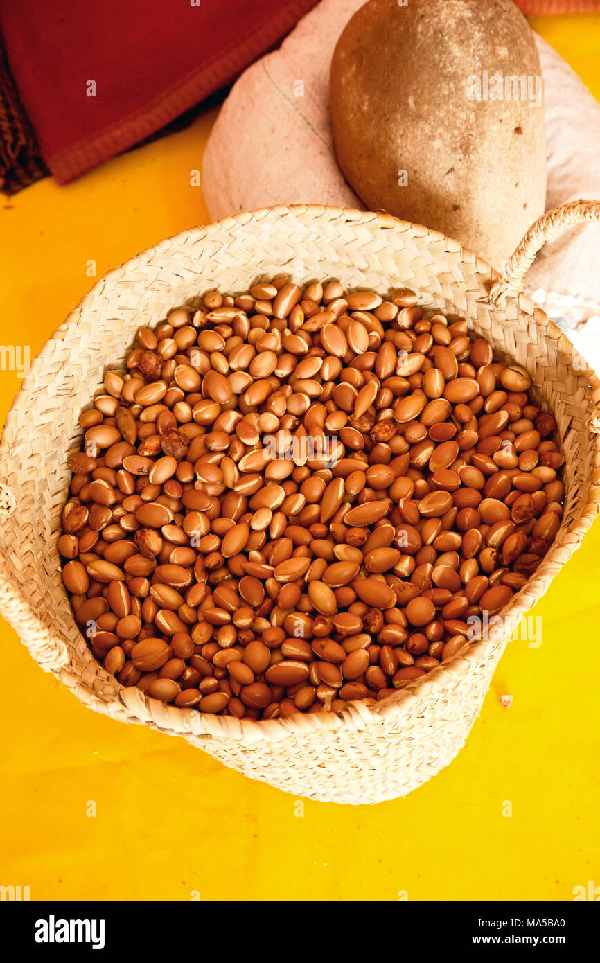 Basket, argan seeds, argan nut, production of argan oil, Morocco Stock ...