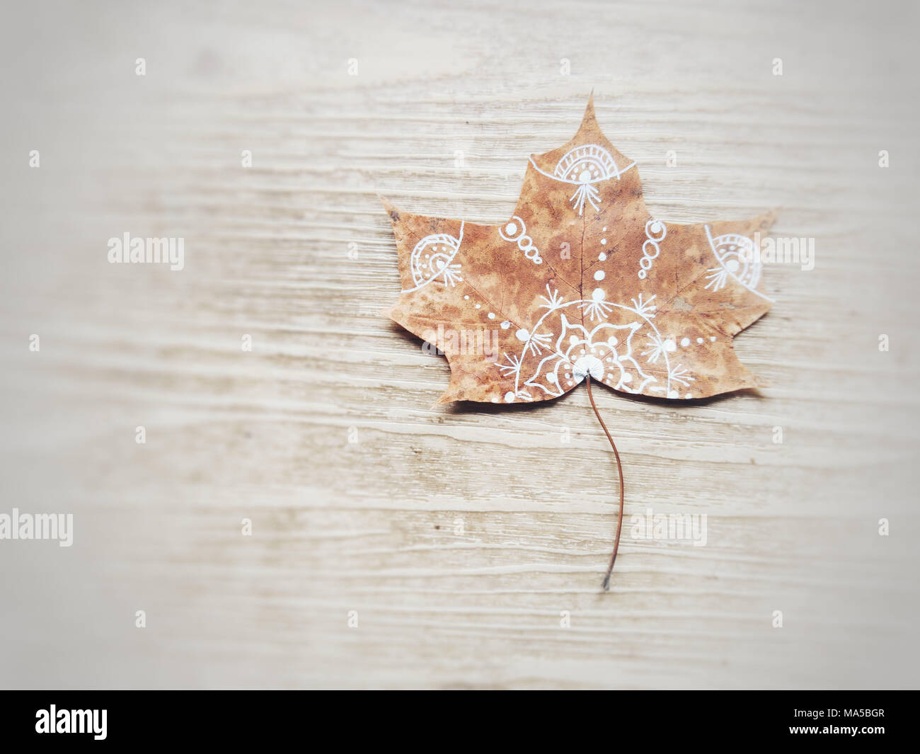 White painted maple wood hi-res stock photography and images - Alamy