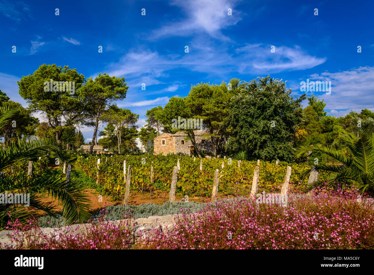 Croatia, Dalmatia, Sibenik, Solaris Beach Resort, Dalmatian Ethno ...