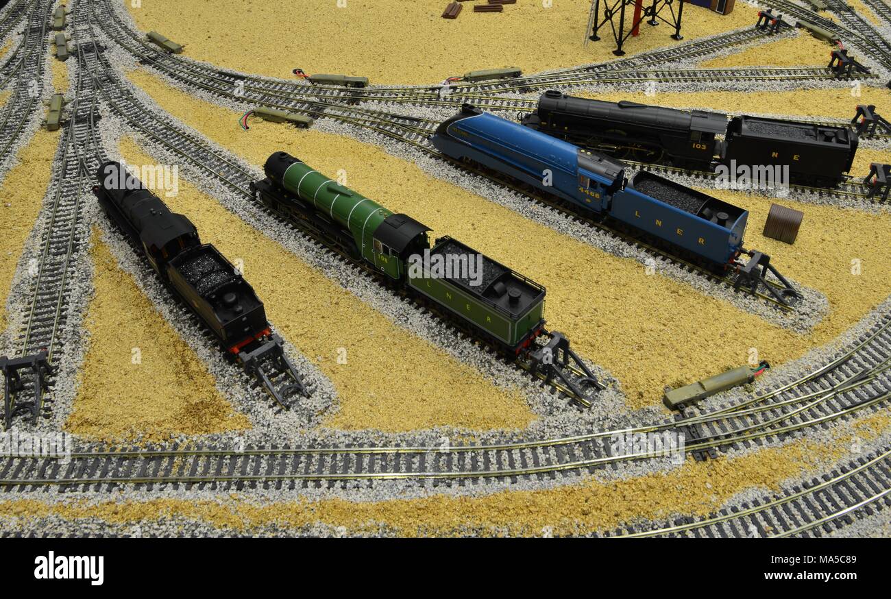 Four large locomotives parked at a siding on a model railway Stock ...