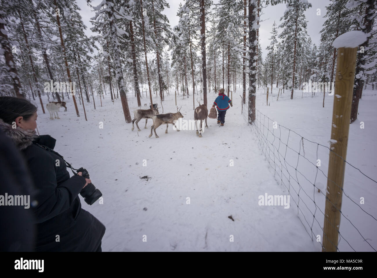 Sapmi tent hi-res stock photography and images - Alamy
