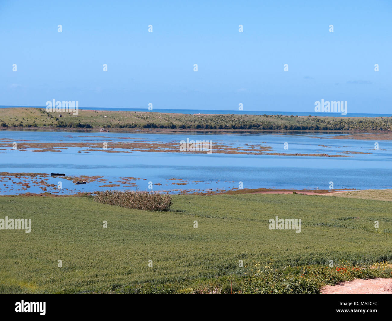 Lagoons south of Sidi-Moussa, Morocco, March 2018 Stock Photo - Alamy