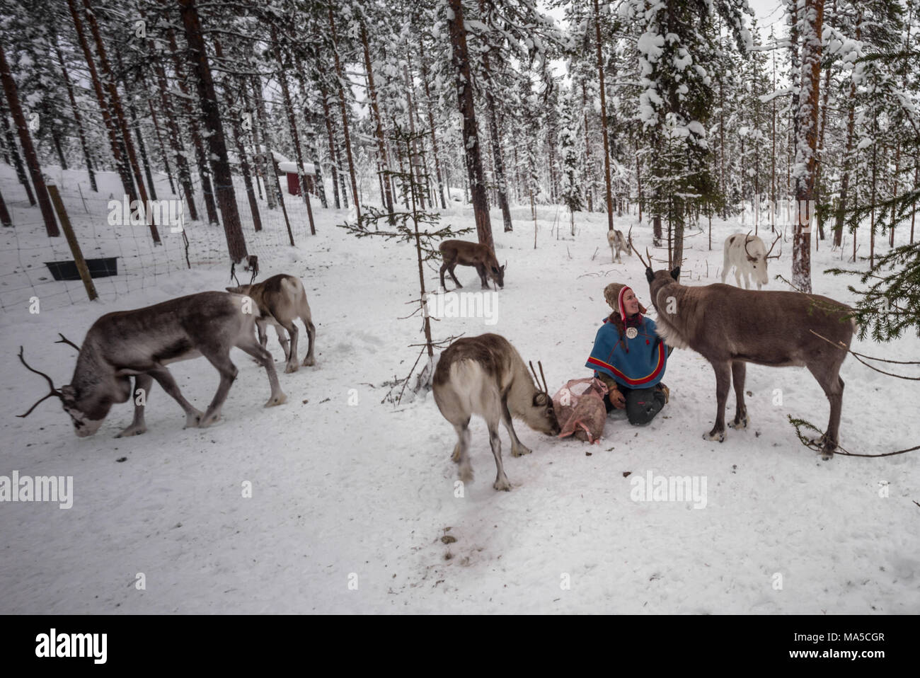 Finno ugric people hi-res stock photography and images - Alamy