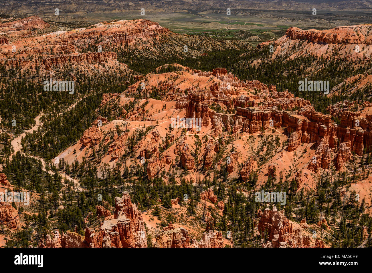 USA, Utah, Garfield County, Bryce Canyon National Park, Amphitheater ...