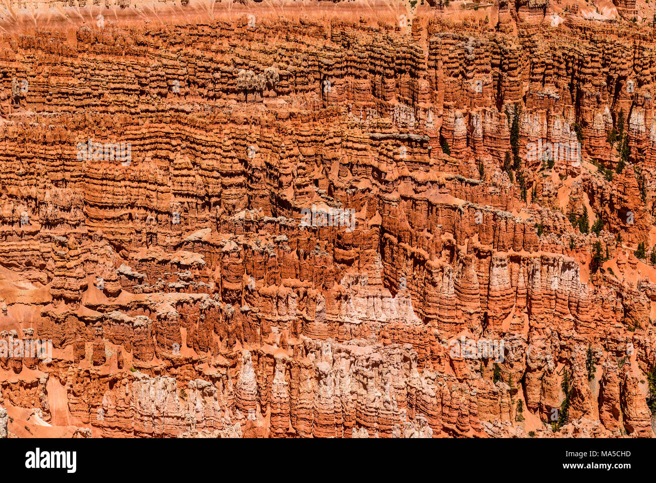 USA, Utah, Garfield County, Bryce Canyon National Park, Amphitheater ...