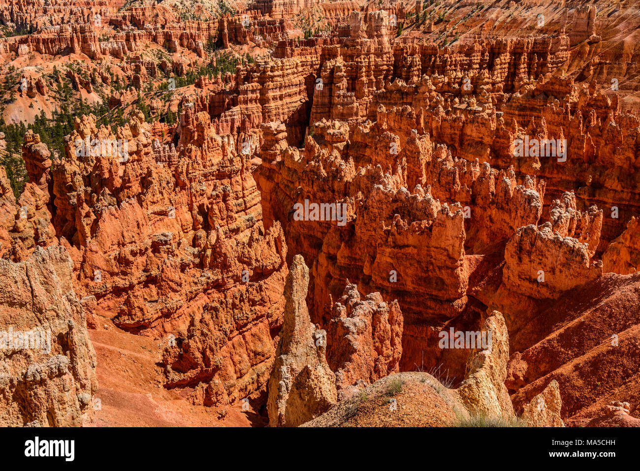 USA, Utah, Garfield County, Bryce Canyon National Park, Sunset Point ...