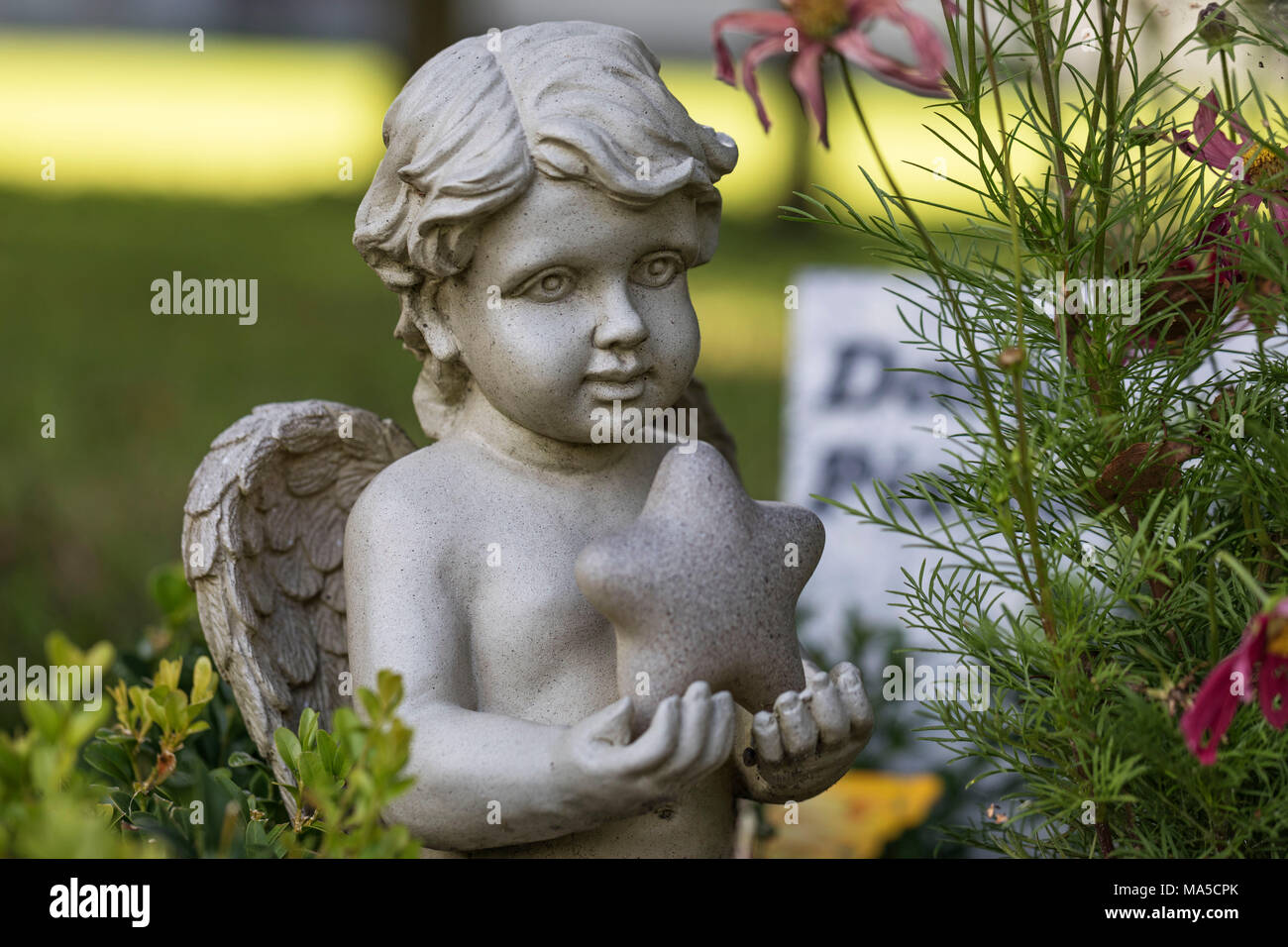 Guardian function hi-res stock photography and images - Alamy