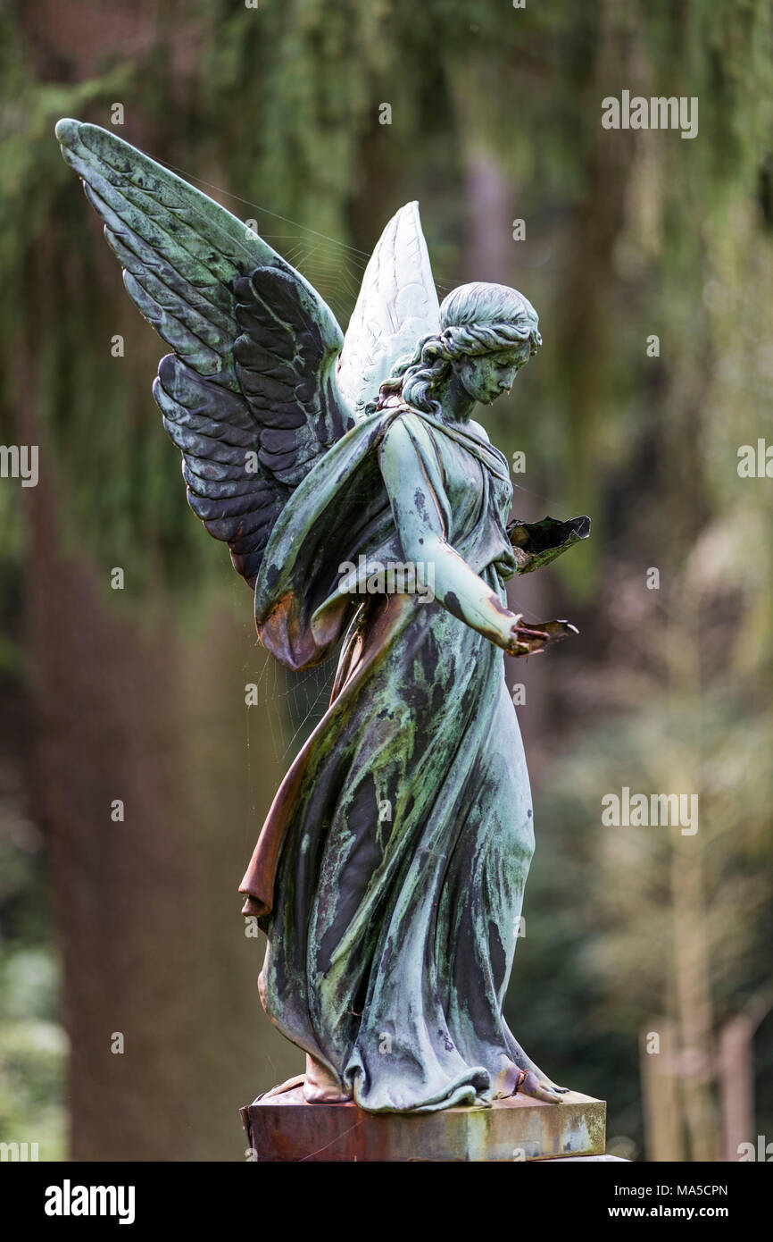 Angel statue without hands, weathered, Ohlsdorfer Friedhof (cemetery ...