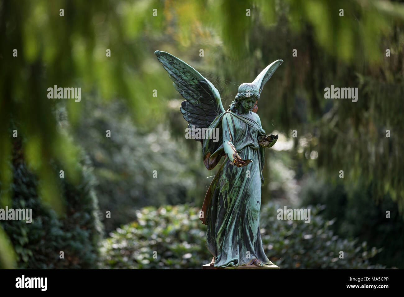 Angel statue without hands, weathered, Ohlsdorfer Friedhof (cemetery ...