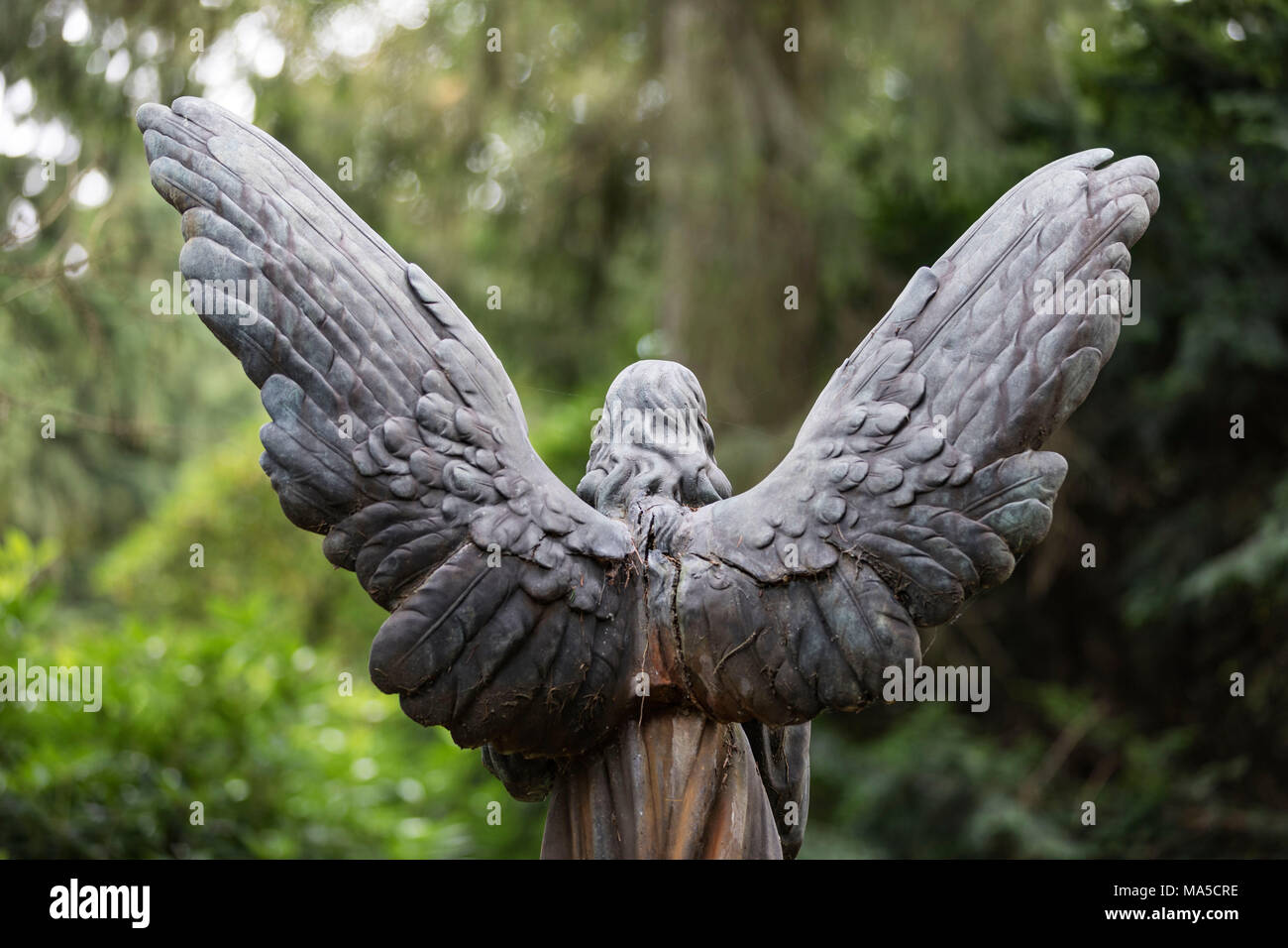Angel statue hi-res stock photography and images - Alamy