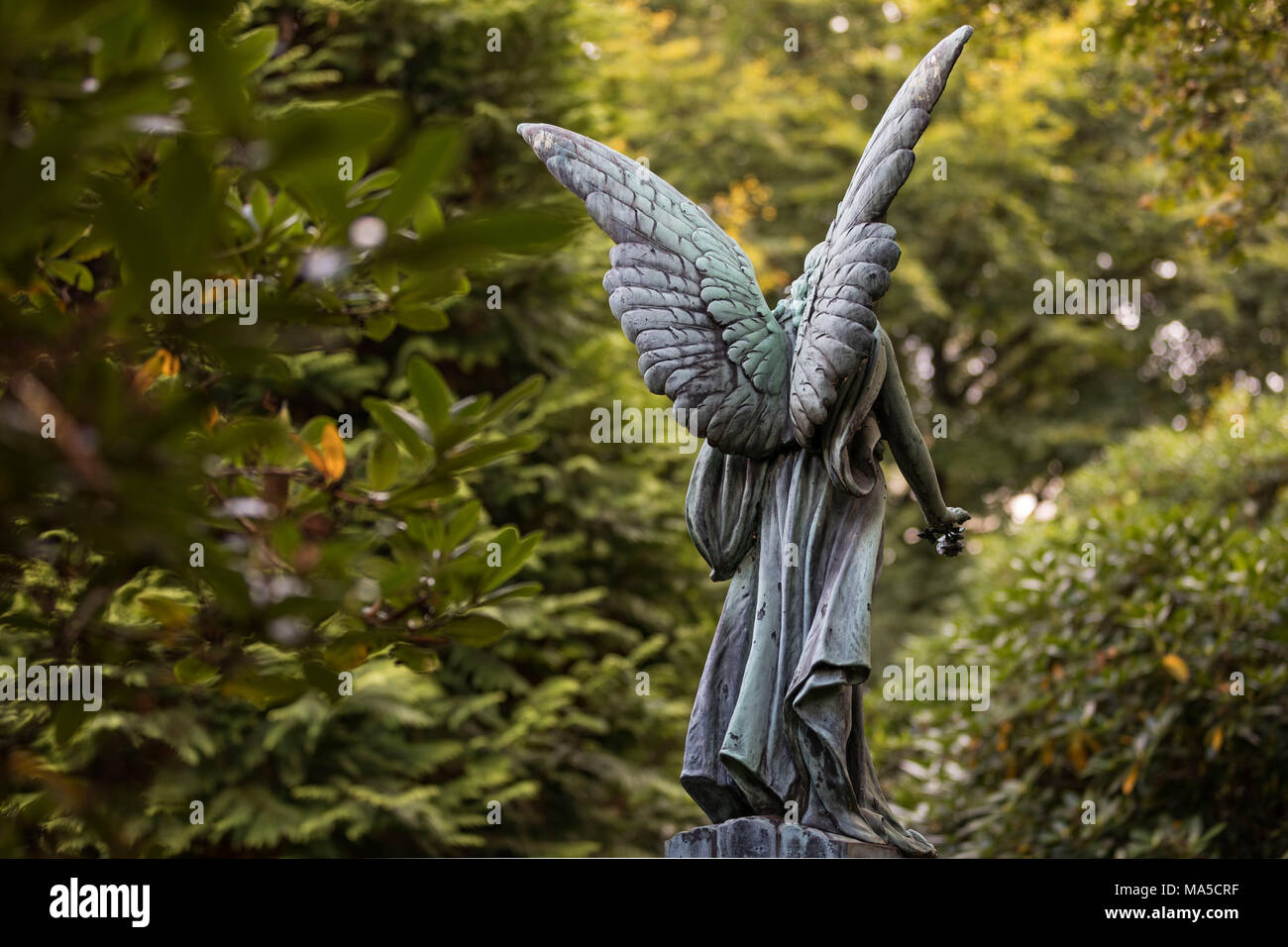 angel statue, back view, Ohlsdorfer Friedhof (cemetery), Hamburg Stock ...