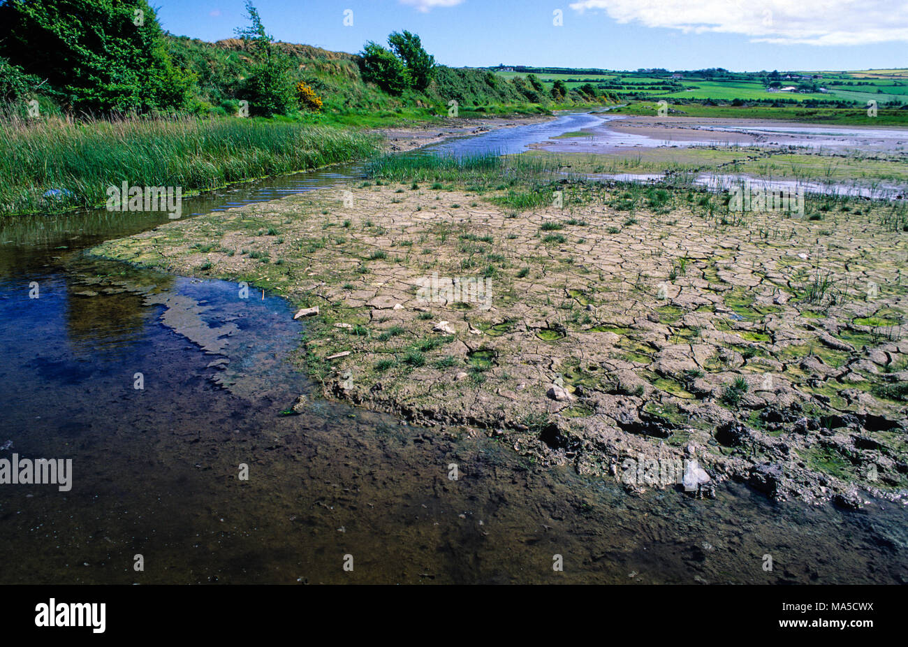 Destruction to habitat hi-res stock photography and images - Alamy