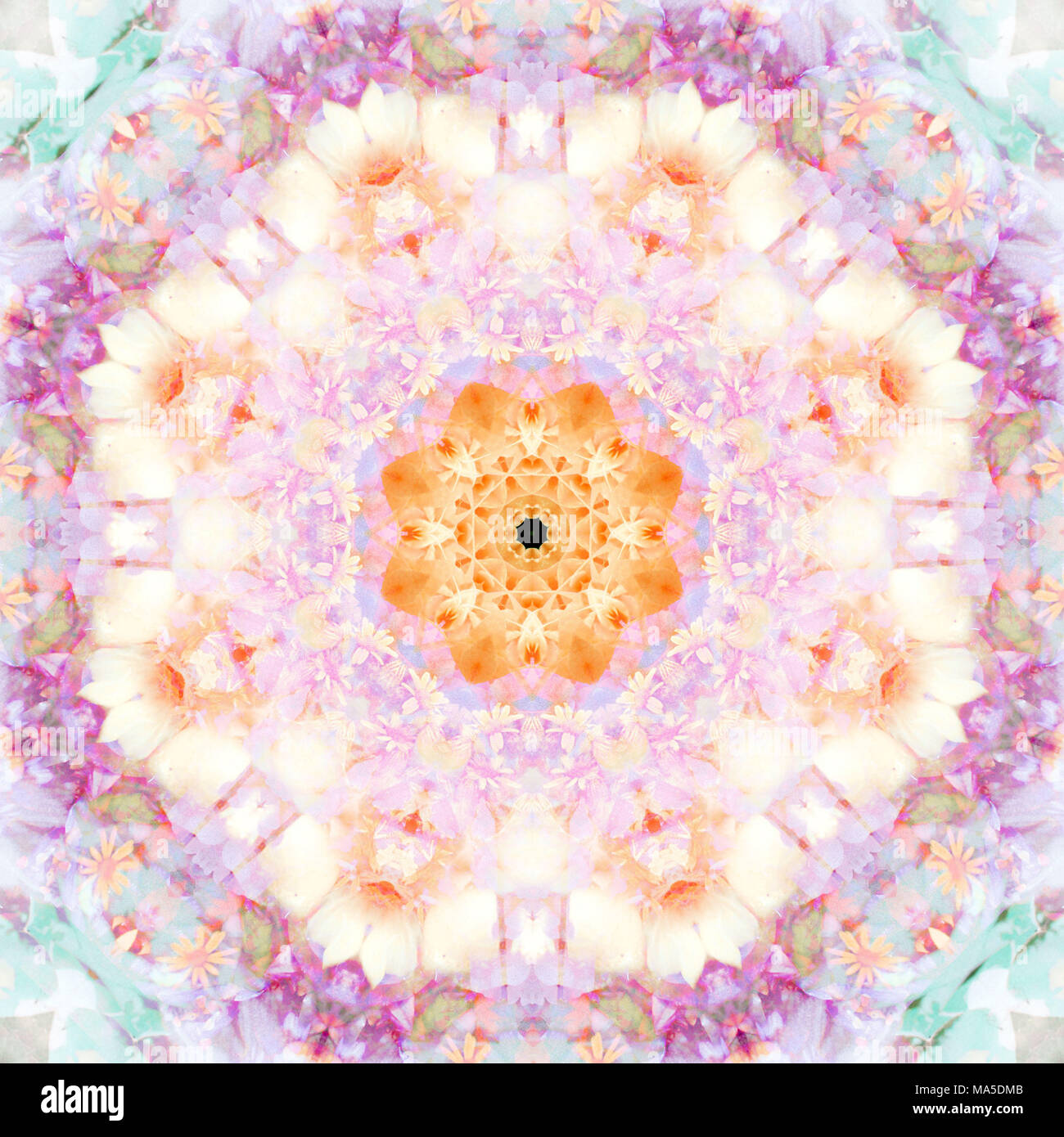 photographic flowers mandala, pastel colours Stock Photo - Alamy
