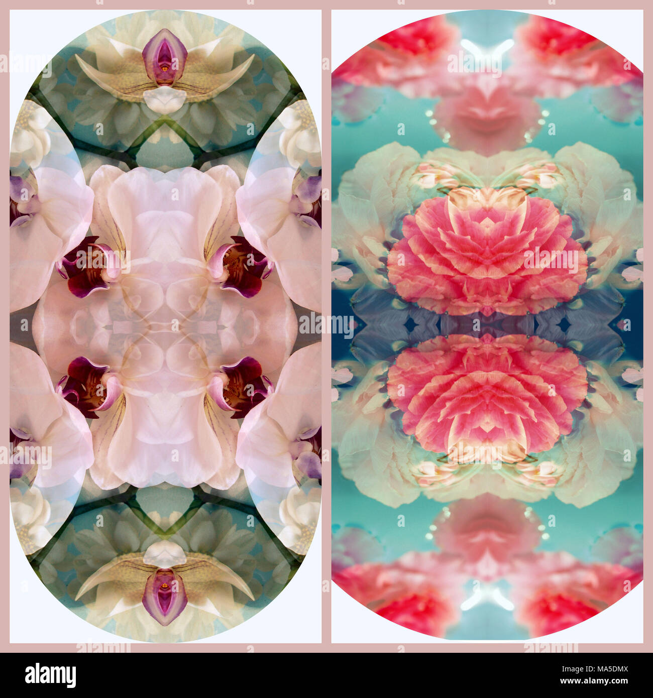 Two Different Flowers Blooming Together