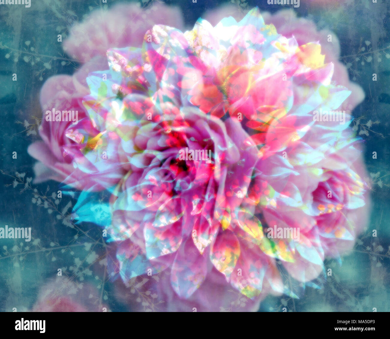 Blur flowers hi-res stock photography and images - Alamy