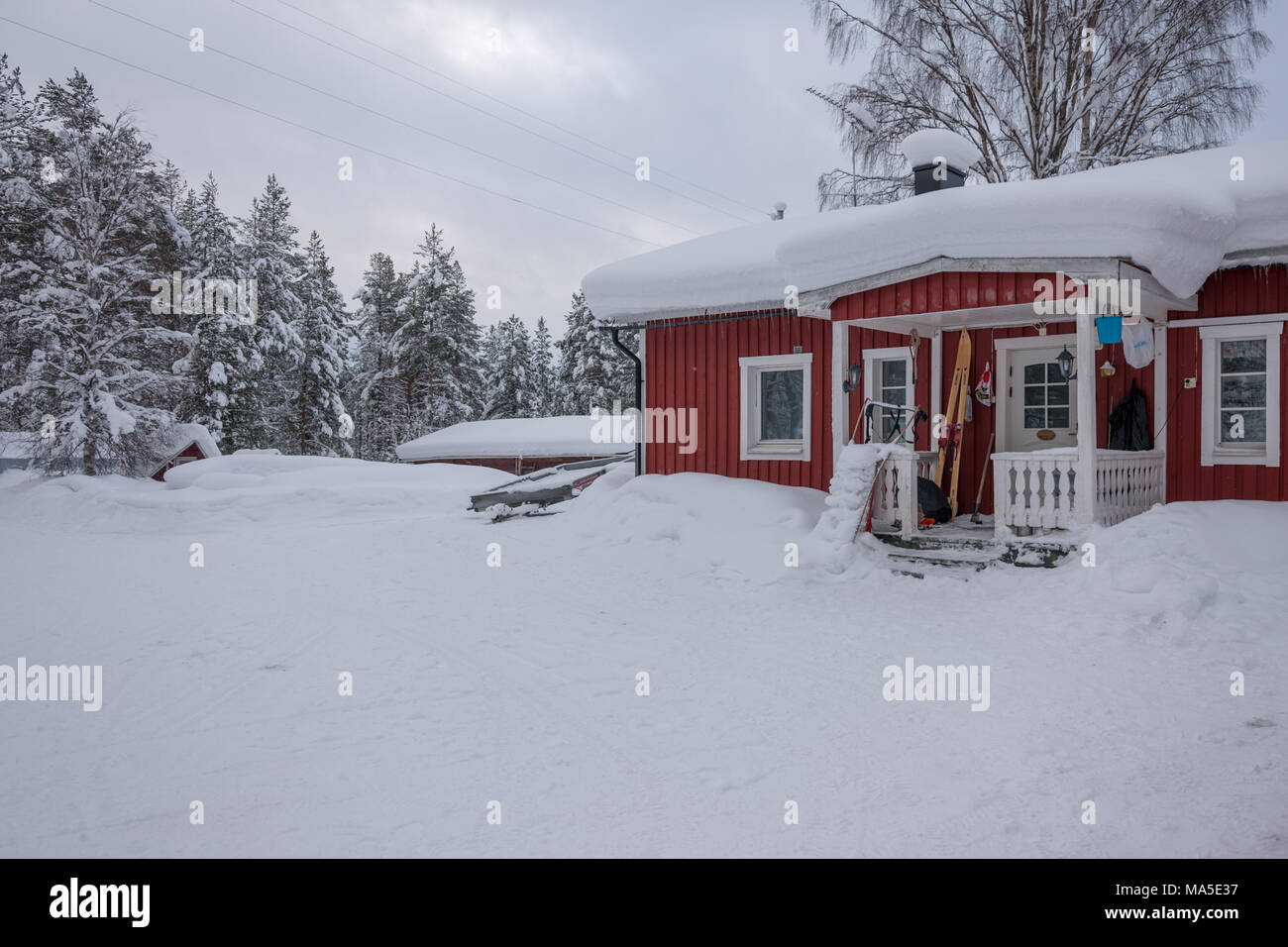 Visiting a Sami farm in Harads, Sweden Stock Photo - Alamy
