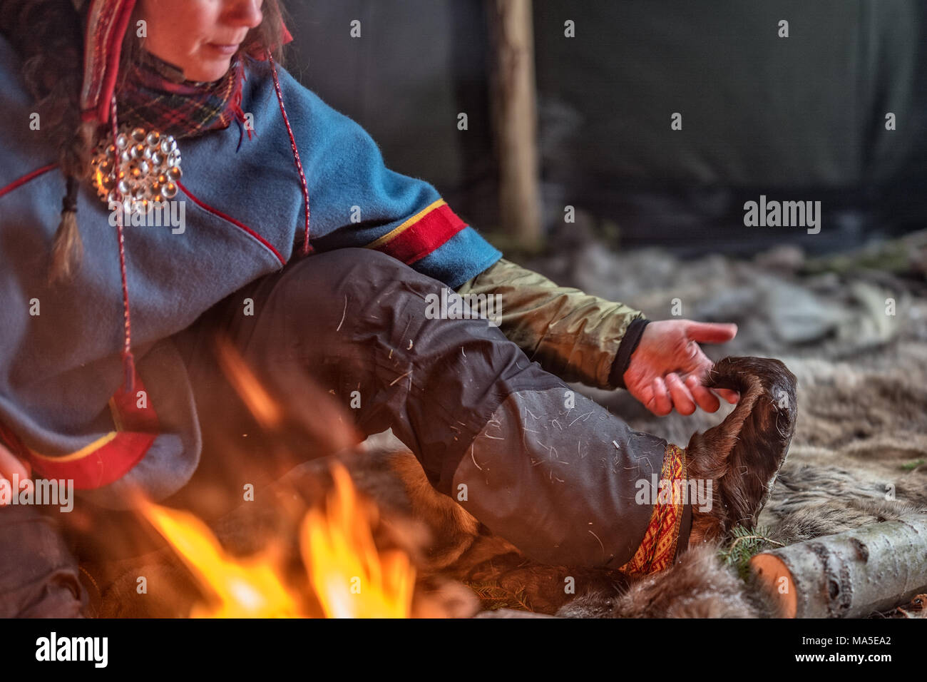 Visiting a Sami farm in Harads, Sweden Stock Photo - Alamy
