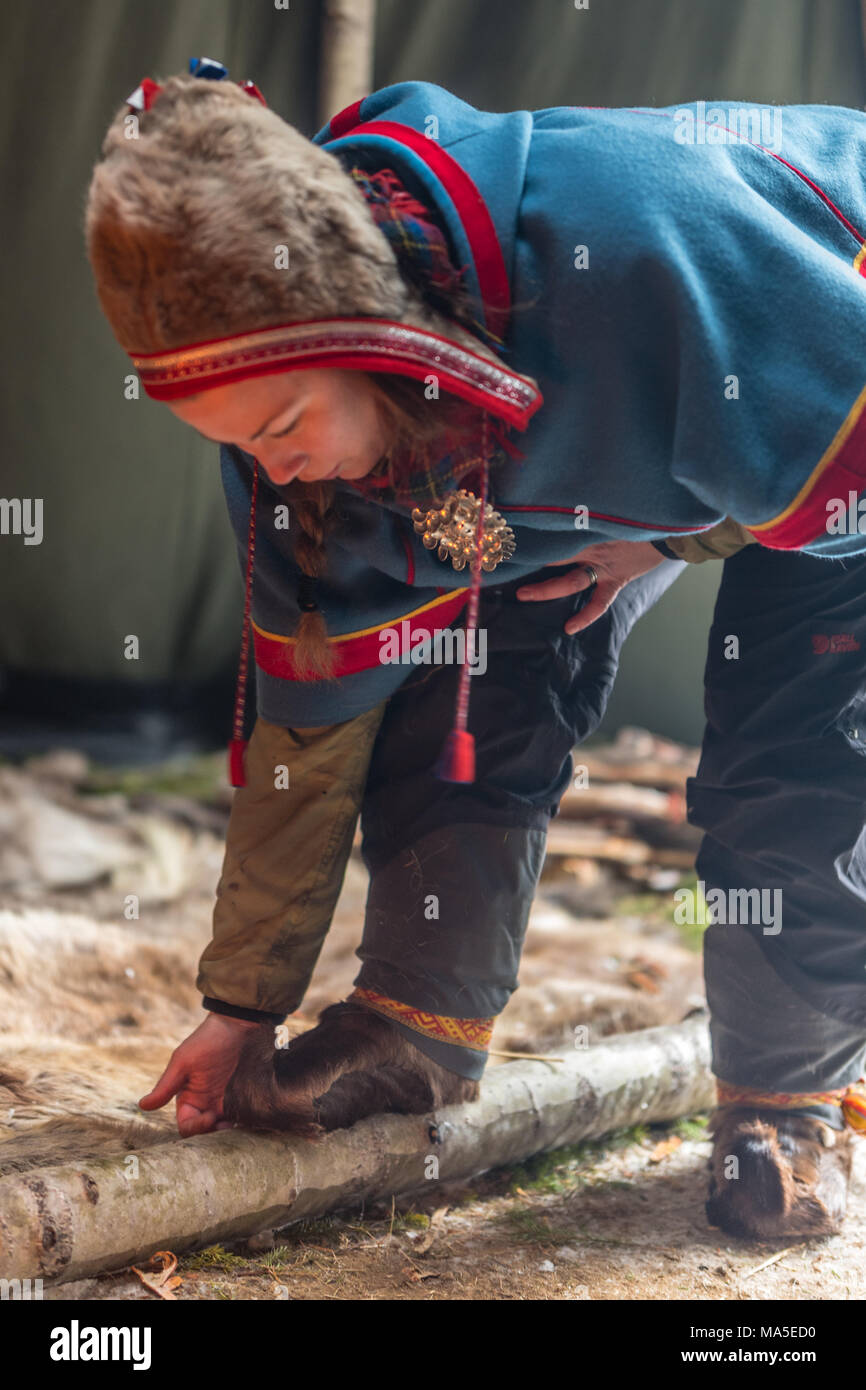 Visiting a Sami farm in Harads, Sweden Stock Photo - Alamy