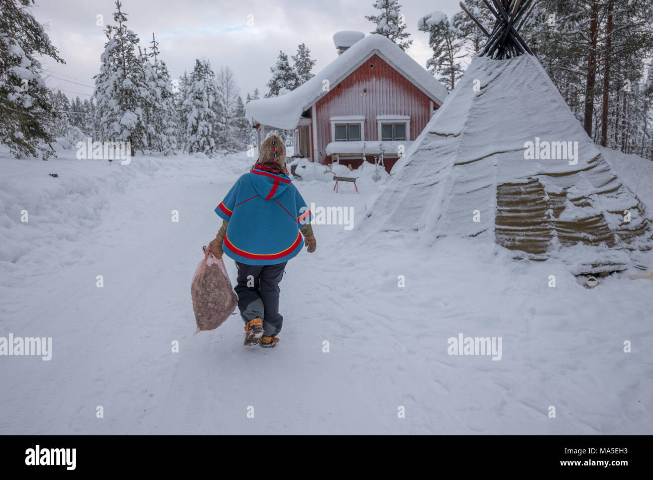 Visiting a Sami farm in Harads, Sweden Stock Photo - Alamy