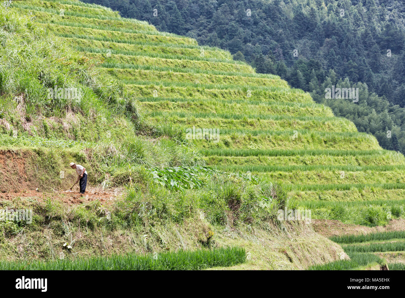 Asian landscapes hi-res stock photography and images - Alamy