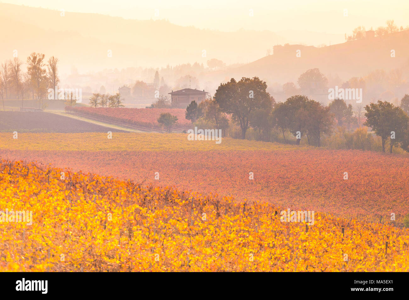Modena Province Stock Photos & Modena Province Stock Images - Alamy
