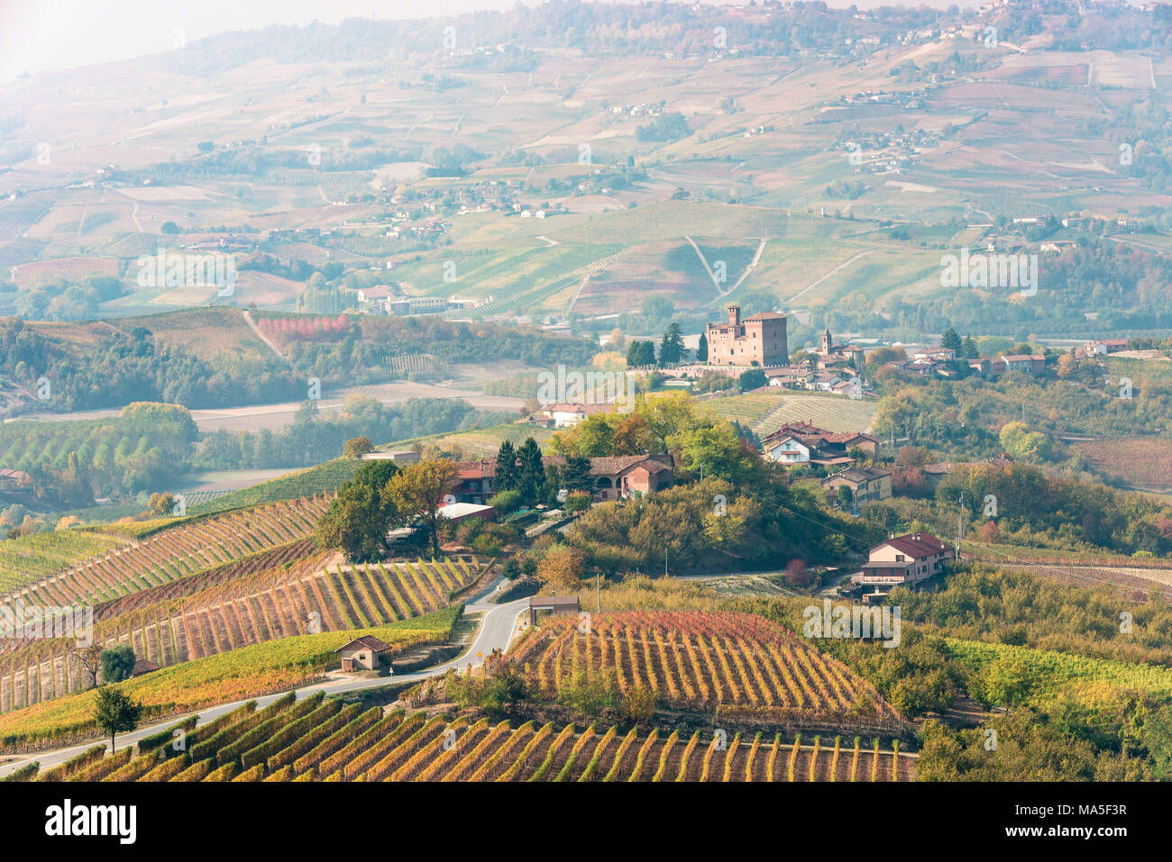 Italy, Piedmont, Cuneo District, Barolo, Langhe Barolo at sunrise Stock ...