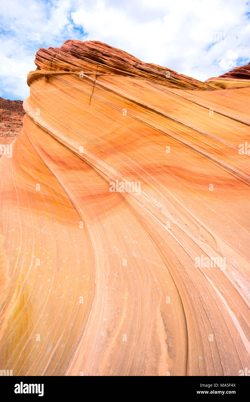 The Wave, Coyote Buttes North, Colorado Plateau, Arizona, USA Stock ...