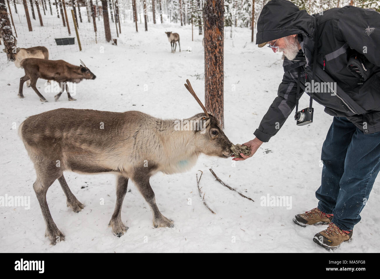 Moss farm circle hi-res stock photography and images - Alamy
