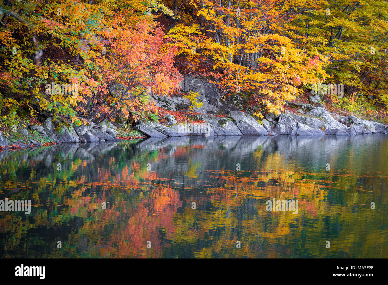 Lago scale hi-res stock photography and images - Alamy