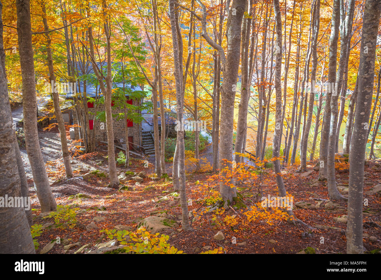Lago scale hi-res stock photography and images - Alamy