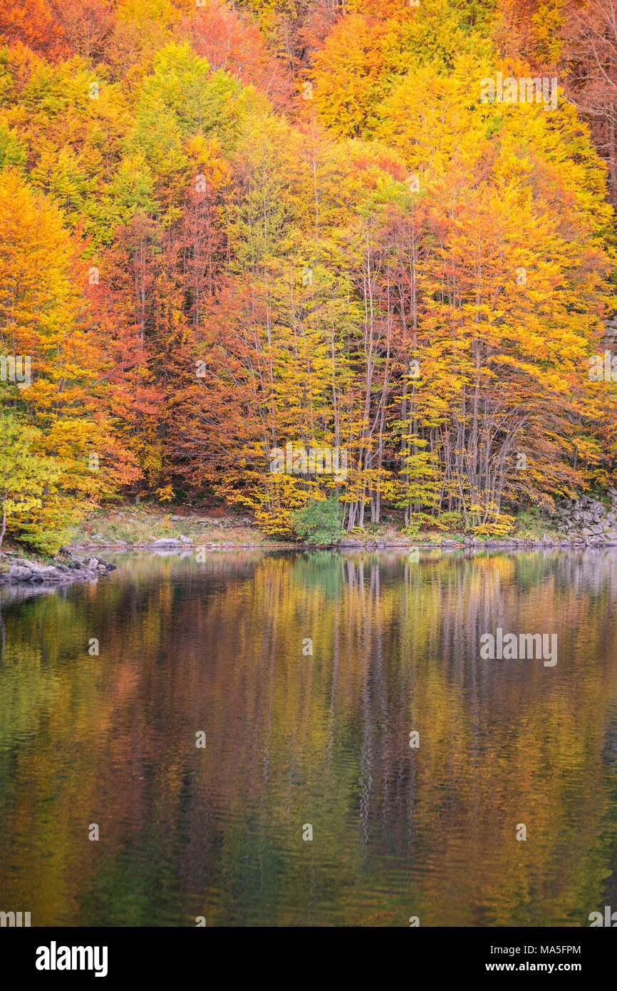 Lago Scale High Resolution Stock Photography and Images - Alamy