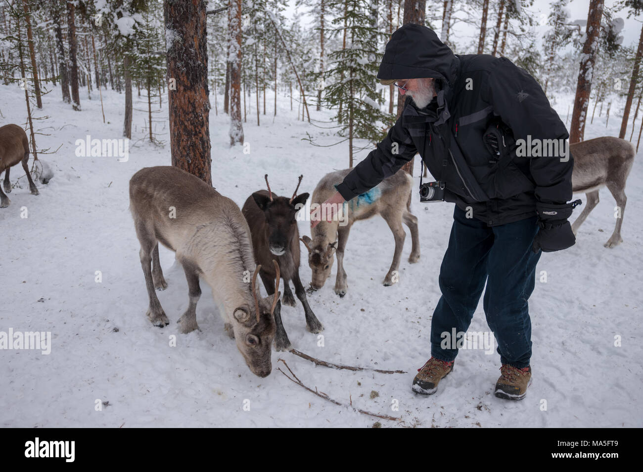 Sami sabme hi-res stock photography and images - Alamy