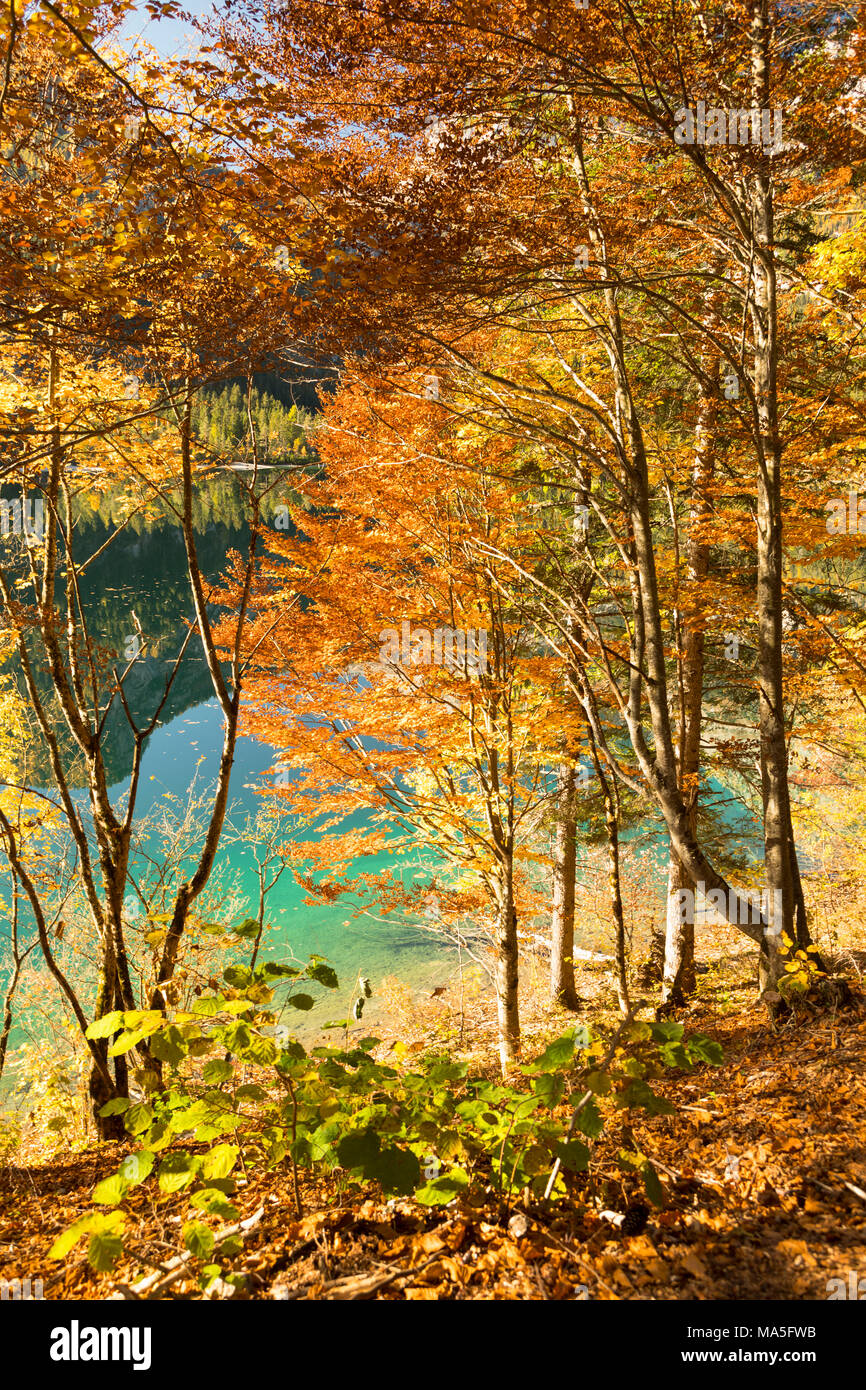 Emotional image hi-res stock photography and images - Alamy