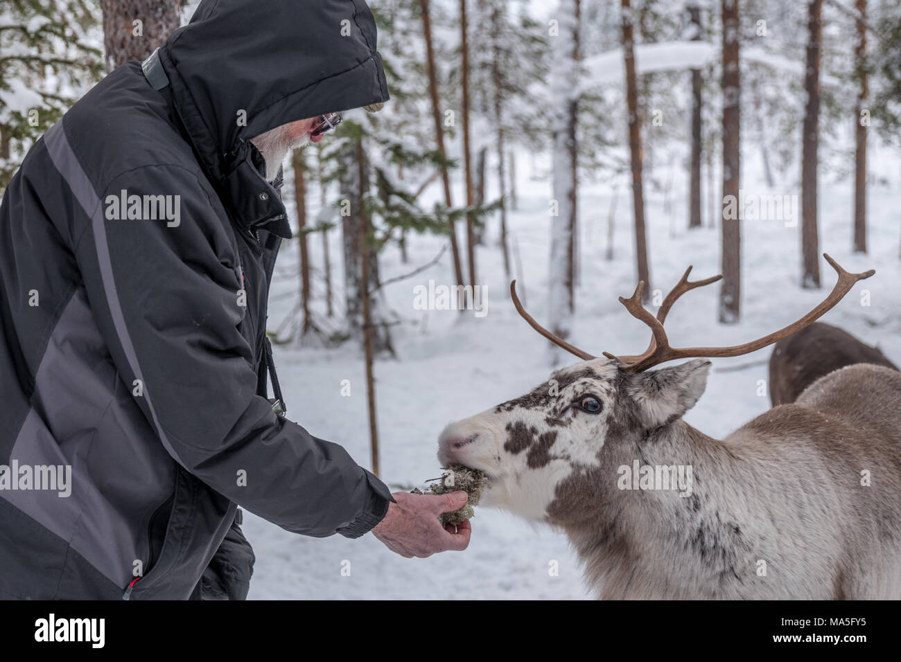 Sami sabme hi-res stock photography and images - Alamy