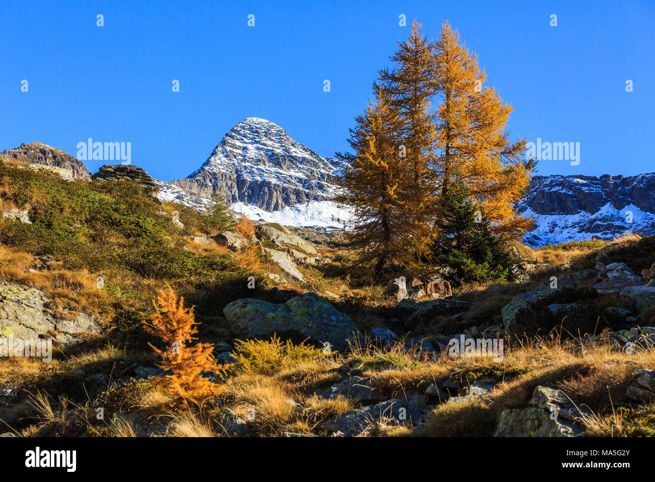 Lombardy, italy autumn hi-res stock photography and images - Alamy