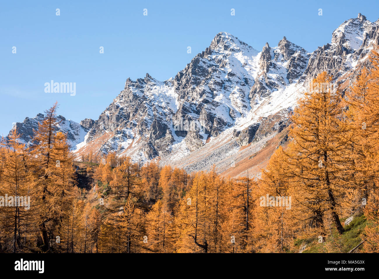 The union of two seasons at alpe devero hi-res stock photography and ...