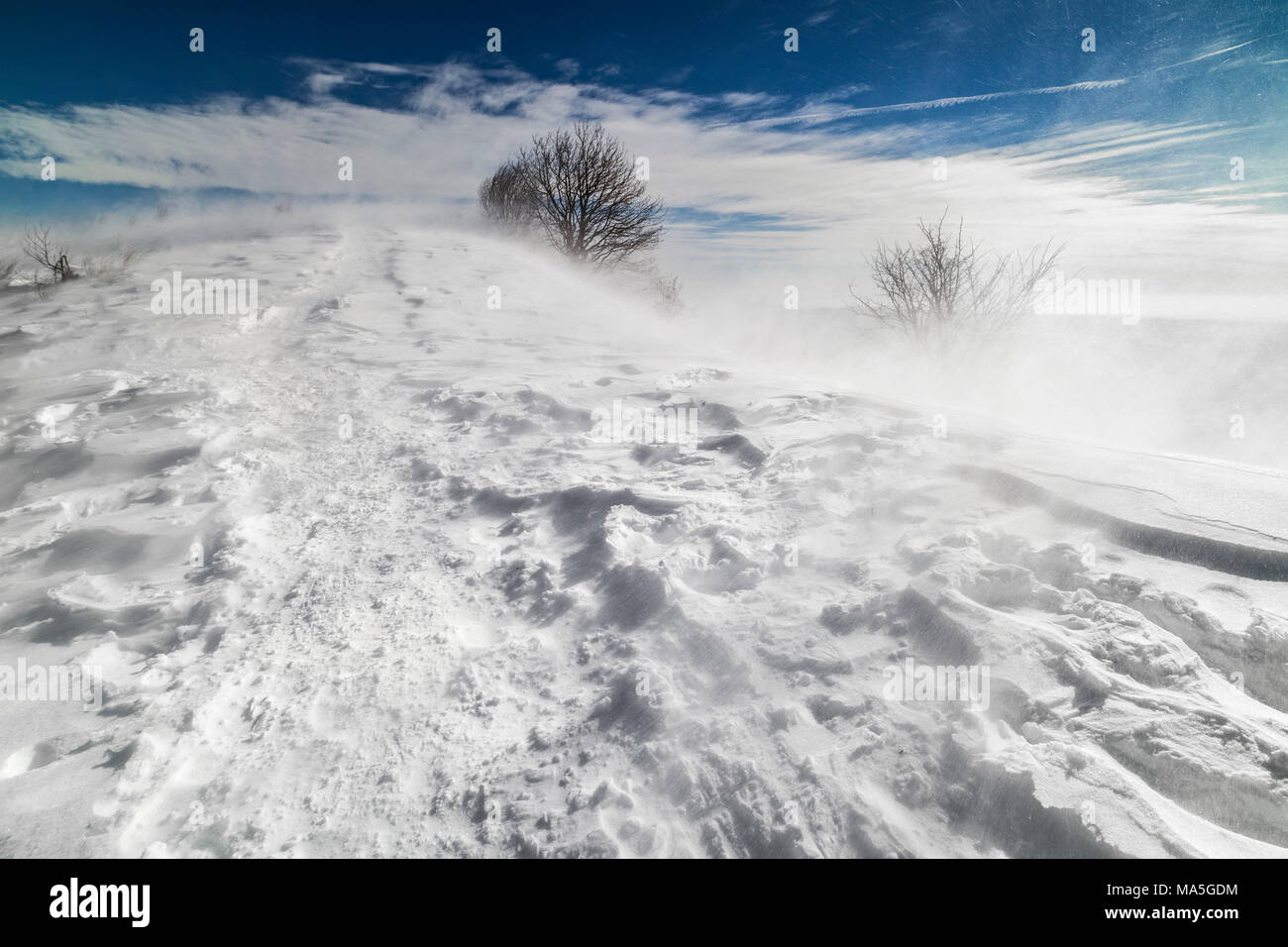 Strong wind hi-res stock photography and images - Alamy