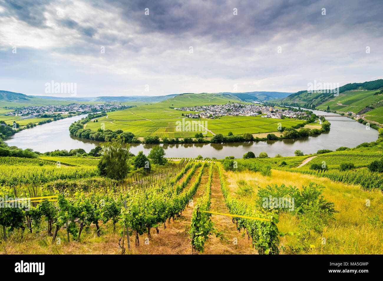 The riverbend at trittenheim hi-res stock photography and images - Alamy