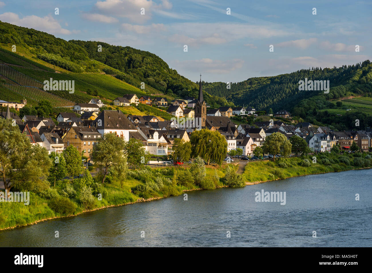 The village neef on the moselle valley hi-res stock photography and ...