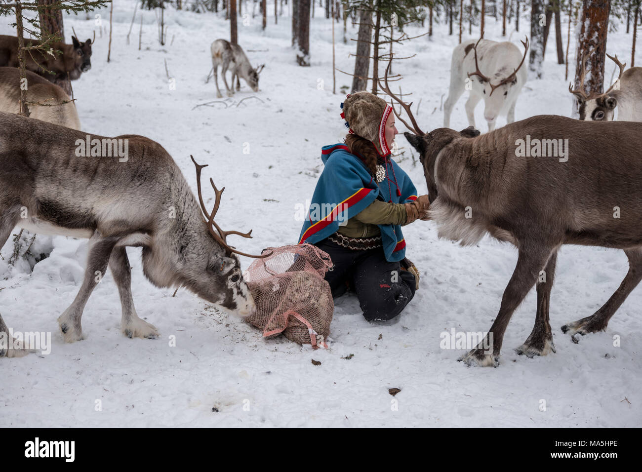 Sami sabme hi-res stock photography and images - Alamy