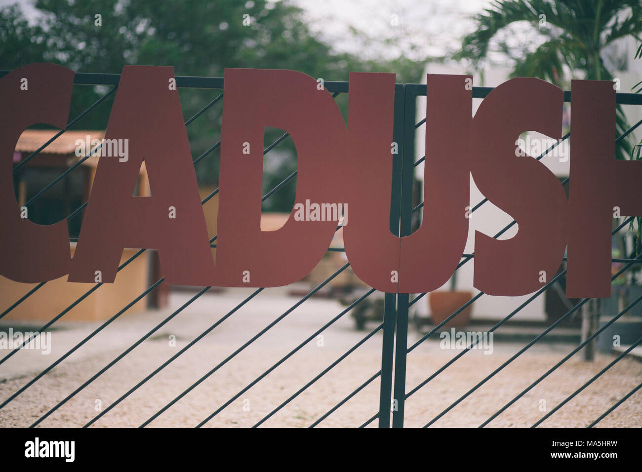 dutch sign in bonaire island Stock Photo - Alamy