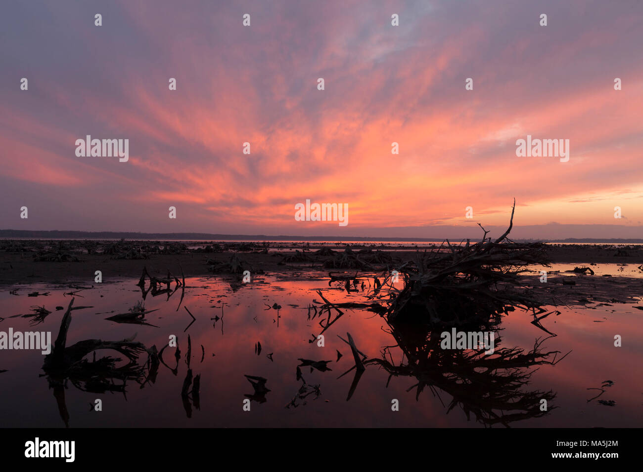 Turawa lake hi-res stock photography and images - Alamy