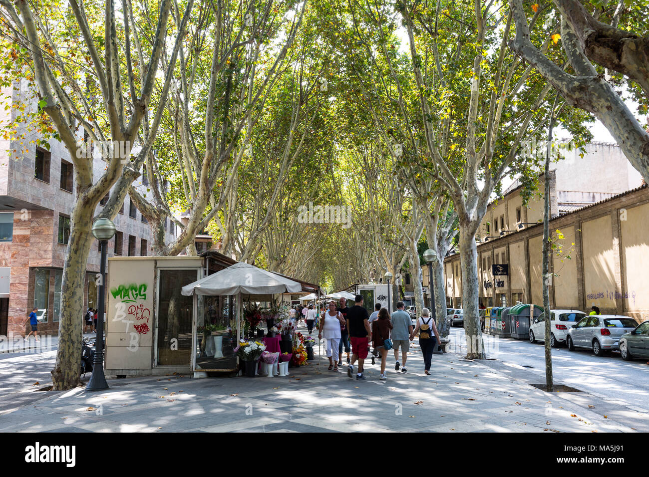 Palma majorca mallorca balearic hi-res stock photography and images - Alamy
