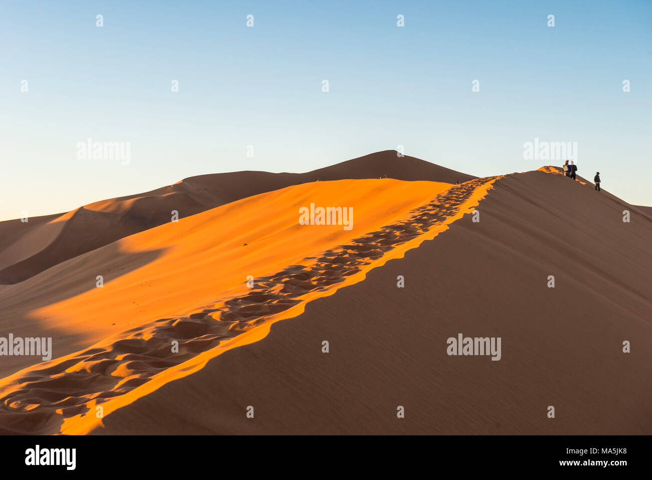 Flatness in desert hi-res stock photography and images - Alamy